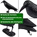 SET 3 Corvi Scaccia Piccioni in Plastica 38 cm Neri | 3X Corvo Finto ...
