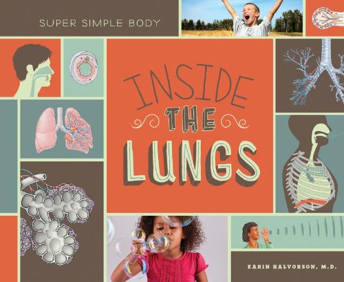 Inside the Lungs (Super Simple Body): Halvorson, Karin, M.D ...
