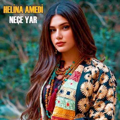 Amazon.co.jp: Neçe Yar : Helina Amedi: Digital Music