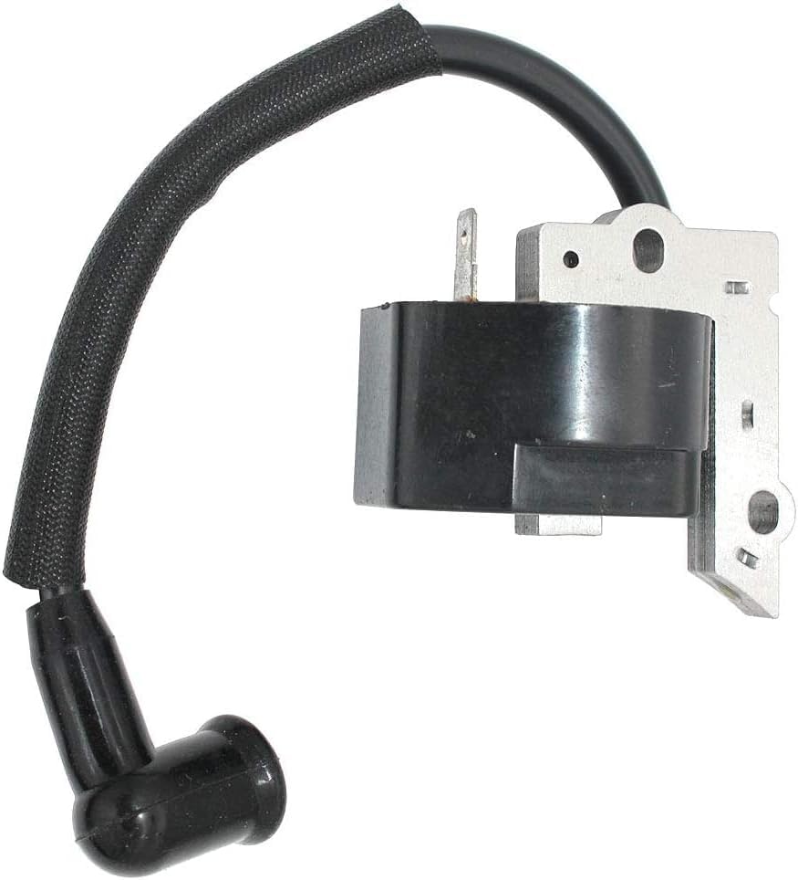 Amazon.com: IGCLINIC Ignition Module Coil Compatible with Craftsman Gas ...