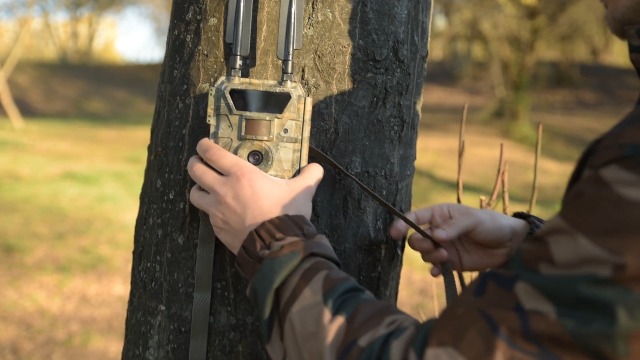 Watch 2021 Upgraded LTE 4G Cellular Trail camera with 56 IR LEDs and ...