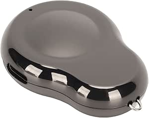 Amazon.com: Wearable Voice Video Recorder, Mini Portable Lightweight ...