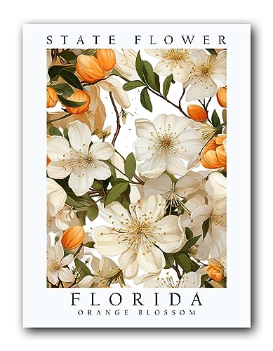 Amazon.com: Orange Blossom, Florida State Flower, Poster Print, Wall ...