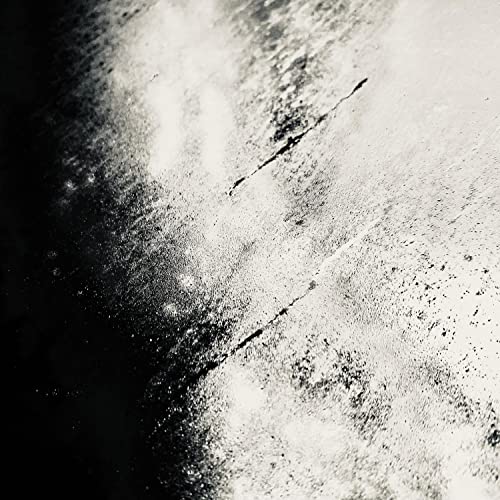 Amazon MusicでBad KevinのBird Trapsを再生する