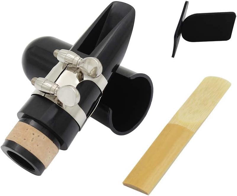 Amazon.com: Glory Clarinet Mouthpiece Kit with Ligature,one Reed and ...