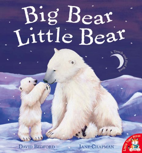 Big Bear Little Bear: Amazon.co.uk: Bedford, David, Chapman, Jane ...
