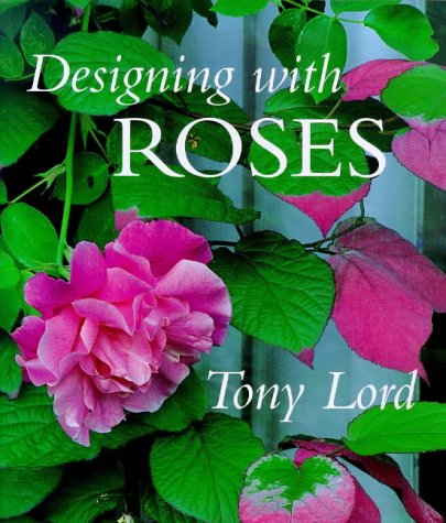 Buy Designing with Roses Book Online at Low Prices in India | Designing ...