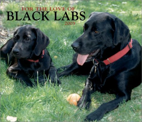 Buy 2003 (For the Love of Black Labrador Retrievers: Deluxe Large Wall ...