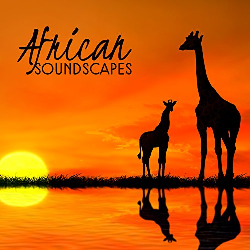 Amazon.com: African Soundscapes: Tribal Drums and Chants, Dream Lounge ...