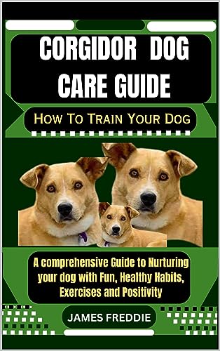 Corgidor dog care guide How To Train Your Dog: A comprehensive Guide to ...