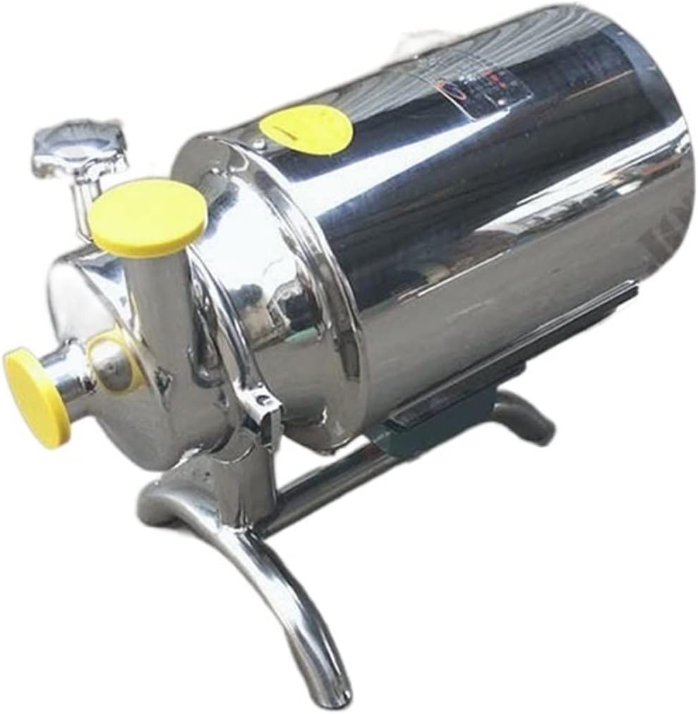 Amazon.com: Portable Electric Mini Utility Pump 5T 220v50hz food grade ...