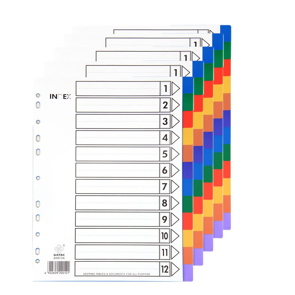 BDHI 5pcs A4 File Dividers Jan-Dec with 11 Hole Punched Multi-Color ...