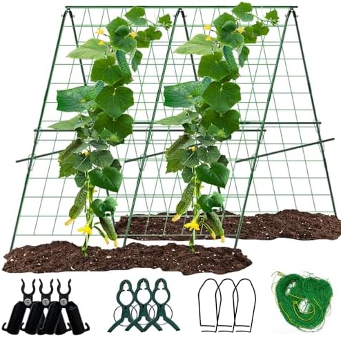 Amazon.com : 55" H x 36" W Cucumber Trellis, Trellis for Climbing ...