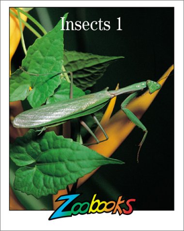 Insects 1 (Zoobooks Series): Wexo, John Bonnett: 9780937934227: Amazon ...