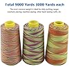 Amazon.com: Rainbow Variegated Polyester Sewing Machine Thread - All ...