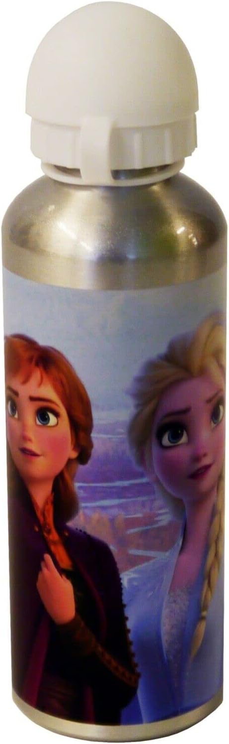 Templar M Frozen Characters Aluminium Water Bottle : Amazon.co.uk: Home ...