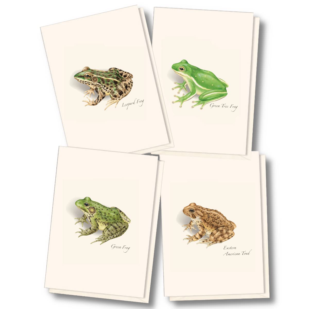 Snapklik.com : Earth Sky + Water - Frog & Toad - 8 Blank Cards