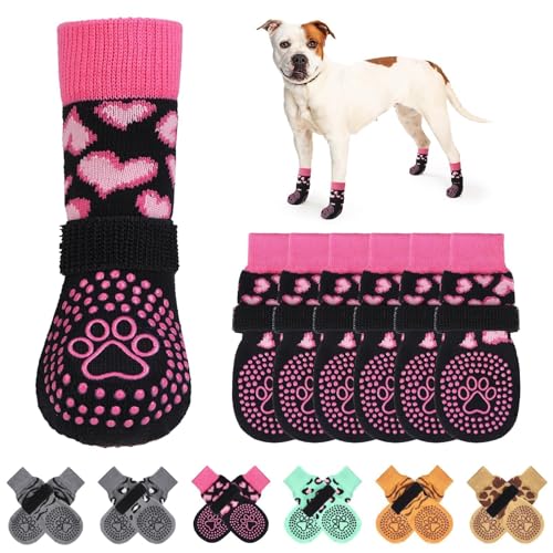 Dog Crocs – The 15 best products compared - Wild Explained
