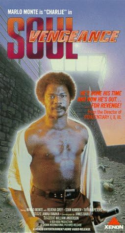 Amazon.com: Soul Vengeance : Monty, Grey, Kamber, Peters: Movies & TV