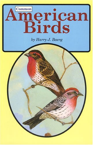 Common American Birds: Harry J. Baerg: 9780879612351: Amazon.com: Books