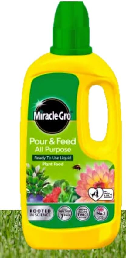 Miracle-Gro Pour and Feed Liquid Plant Food, 1L : Amazon.co.uk: Garden