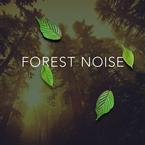 Amazon.com: Forest Noise : Forest Sounds: Digital Music
