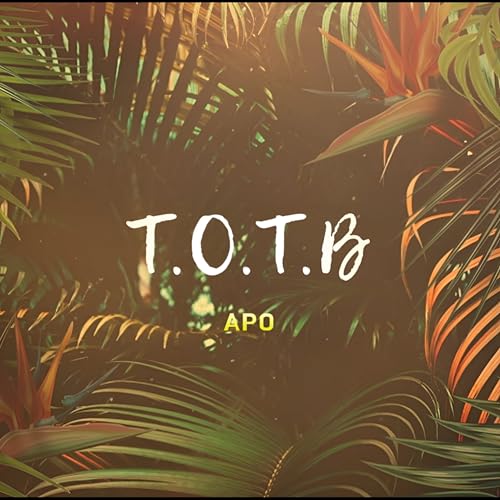 Play T.O.T.B by Apo on Amazon Music