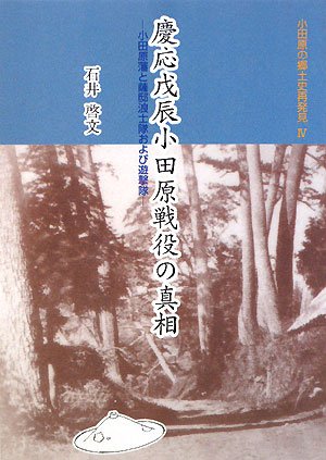 Amazon.com: Truth of Keio Tsuchinoe Dragon Odawara campaign ...