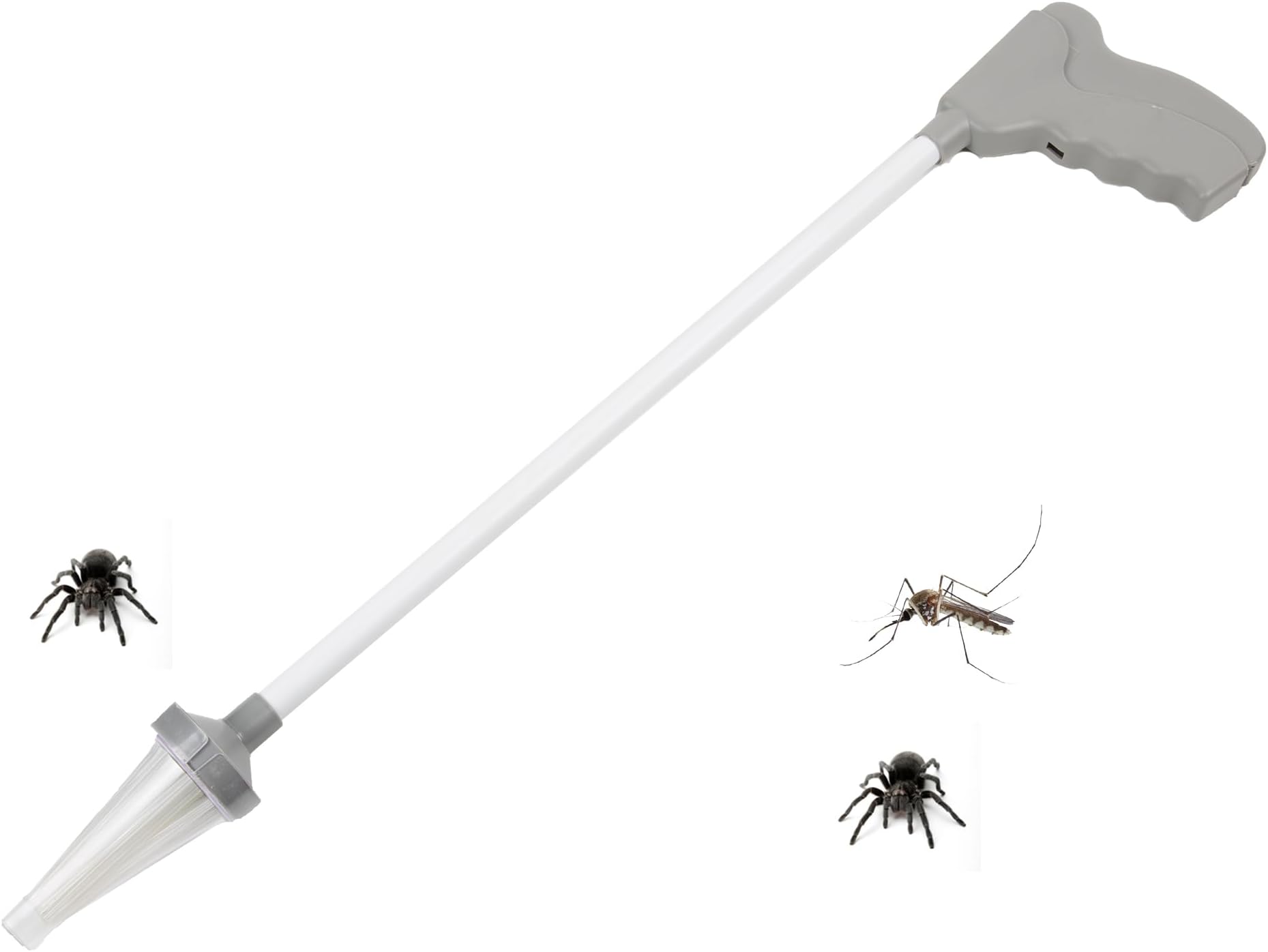 Spider Catcher : Amazon.co.uk: Garden