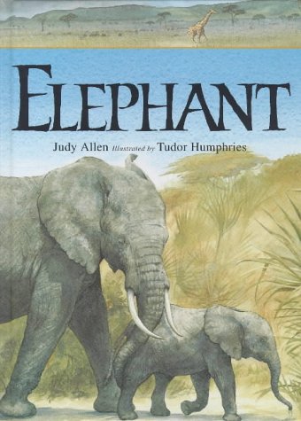 Elephant: Allen Judy: 9780744532951: Books - Amazon.ca