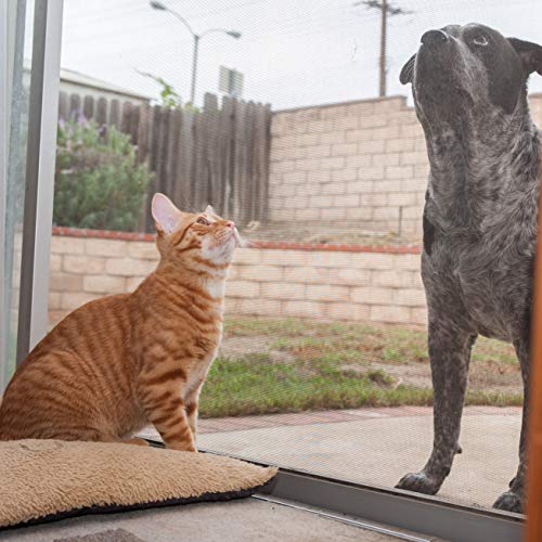 Snapklik.com : DOCAZOO Doca Pet Window Screen Replacement - 36 Inch X ...