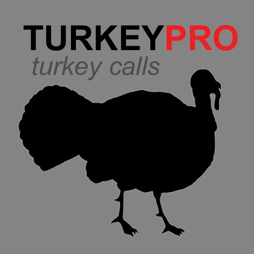 Turkey Calls - Turkey Hunting Calls - Turkey Sounds - App on Amazon ...