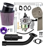 Amazon.com: SOFO Carburetor Racing 212cc Performance Kit with Air ...