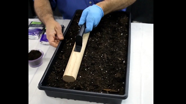 Watch 5 Methods of applying Pea and Bean Inoculant by Papaws GS. on ...