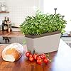 Amazon.com : Amazing Creation Window Herb Planter Box, Vibrant Window ...