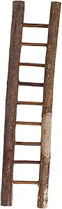 Amazon.com: shamjina Mini Christmas Ladder Miniature Miniatures Photo ...