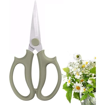 Amazon.com : GreenTiger Garden Scissors, 65mm Extra-Long Blade, Golden ...