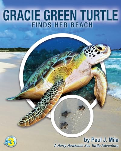 The Best Sea Turtle Books for Toddlers and Preschoolers