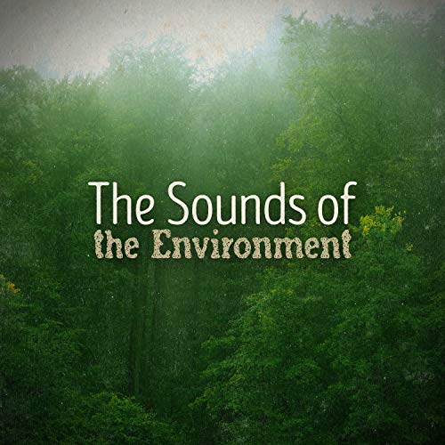 The Sounds of the Environment by Nature Sounds Nature Music on Amazon ...