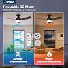 Amazon.com: Amico Ceiling Fans with Lights, 42 inch Low Profile Ceiling ...