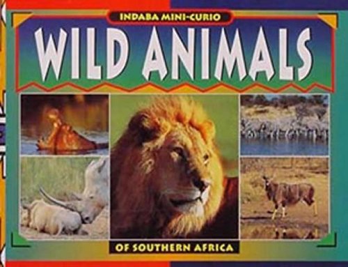 Amazon | Wild Animals of Southern Africa (Indaba Mini Curio S ...