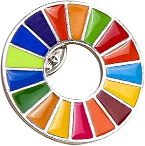 Amazon.com: The Sustainable Development Goals Brooch United Nations ...