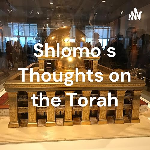Shlomo's Thoughts on the Torah : Shlomo Bar-Ayal: Amazon.in: Audible ...