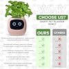 Vibezy Interactive Plant Pot – Smart Planter, AI Pet Plantagotchi ...