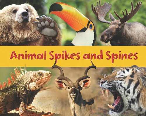 Animal Spikes and Spines (Acorn Read-aloud:): Rissman, Rebecca ...