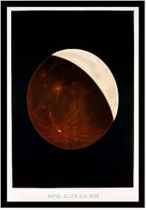 Amazon.com: Canvas Wall Picture Prints Partial Eclipse By Etienne ...