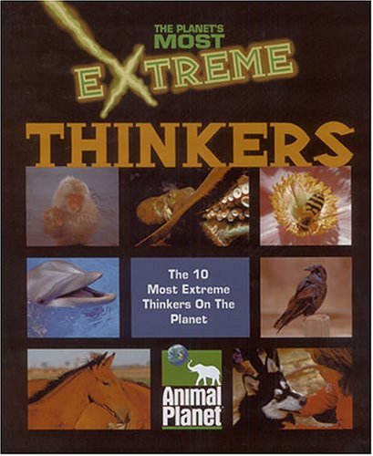 Buy Extreme Thinkers (Planet's Most Extreme) Book Online at Low Prices ...