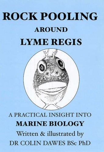 Rockpooling Around Lyme Regis: A Practical Insight into Marine Biology ...