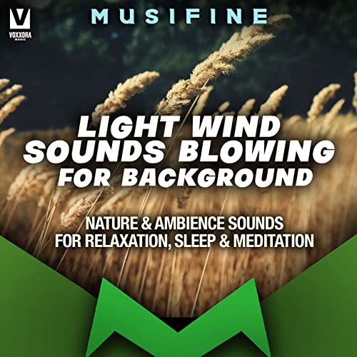 Play Light Wind Sounds Blowing for Background (Nature & Ambience Sounds ...