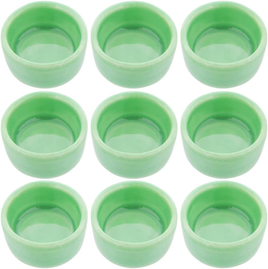 Amazon.com : 4 Pcs Spider Small Water Bowl, Mini Resin Dish for ...